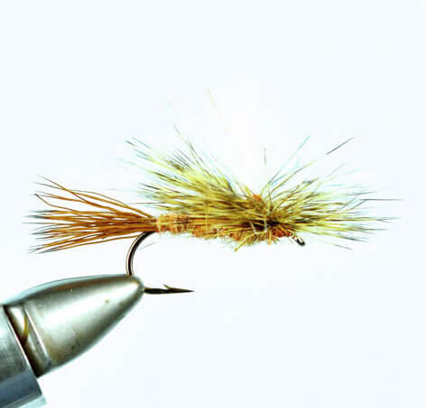Brindle Chute - High-Quality Fly Fishing Gear for Beginners