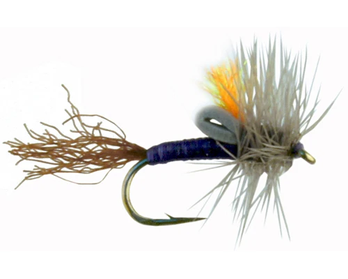 Top 4 Callibaetis Fly Patterns - The Missoulian Angler Fly Shop